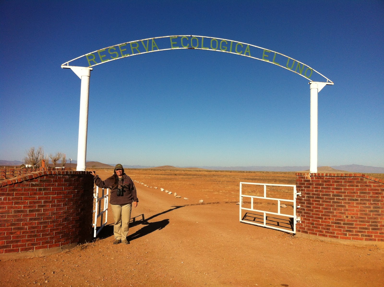 Mary Birds: Birding The Nature Conservancy's Rancho El Uno Reserve ...